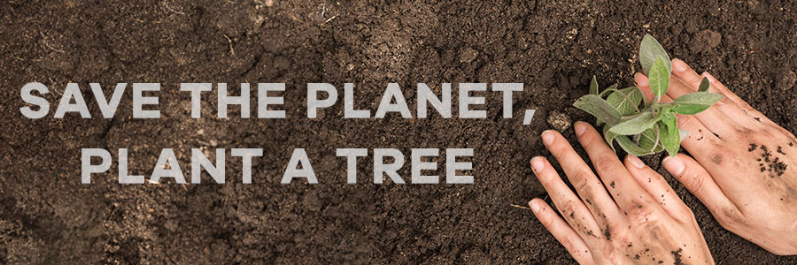 SAVE THE PLANET, PLANT A TREE - Vivercid